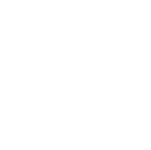 Learning Development Consultancy | Capability Group